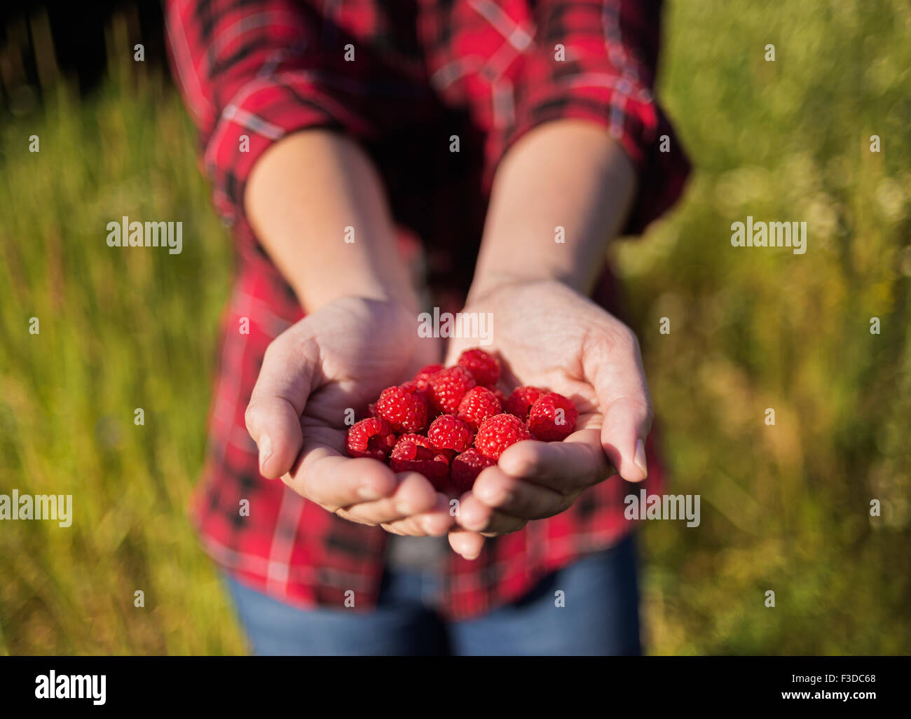 Mid section of woman holding raspberries in hands Stock Photo - Alamy