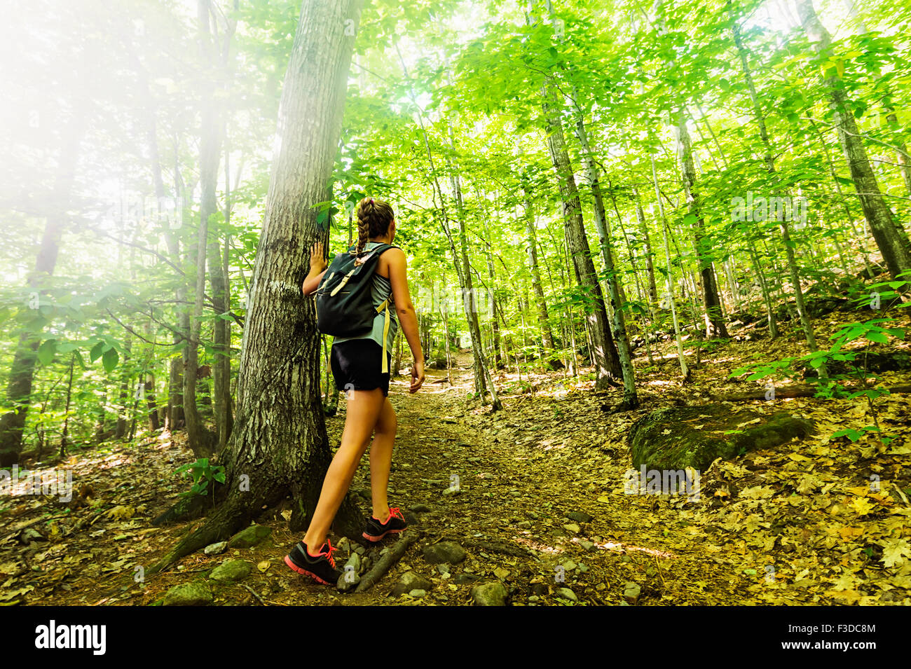 Female hiker in forest Stock Photo - Alamy