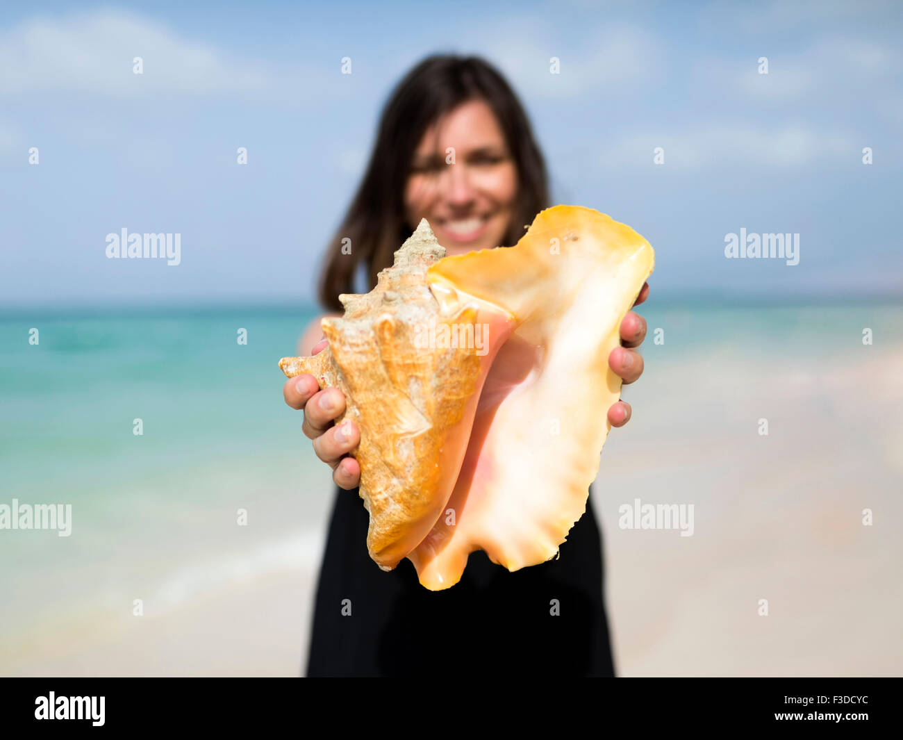 Seashell on beach hi-res stock photography and images - Alamy