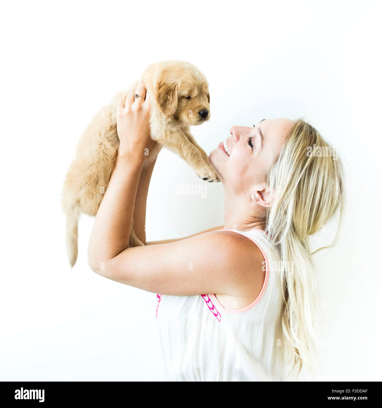 Studio shot of Golden Retriever puppy with owner Stock Photo - Alamy