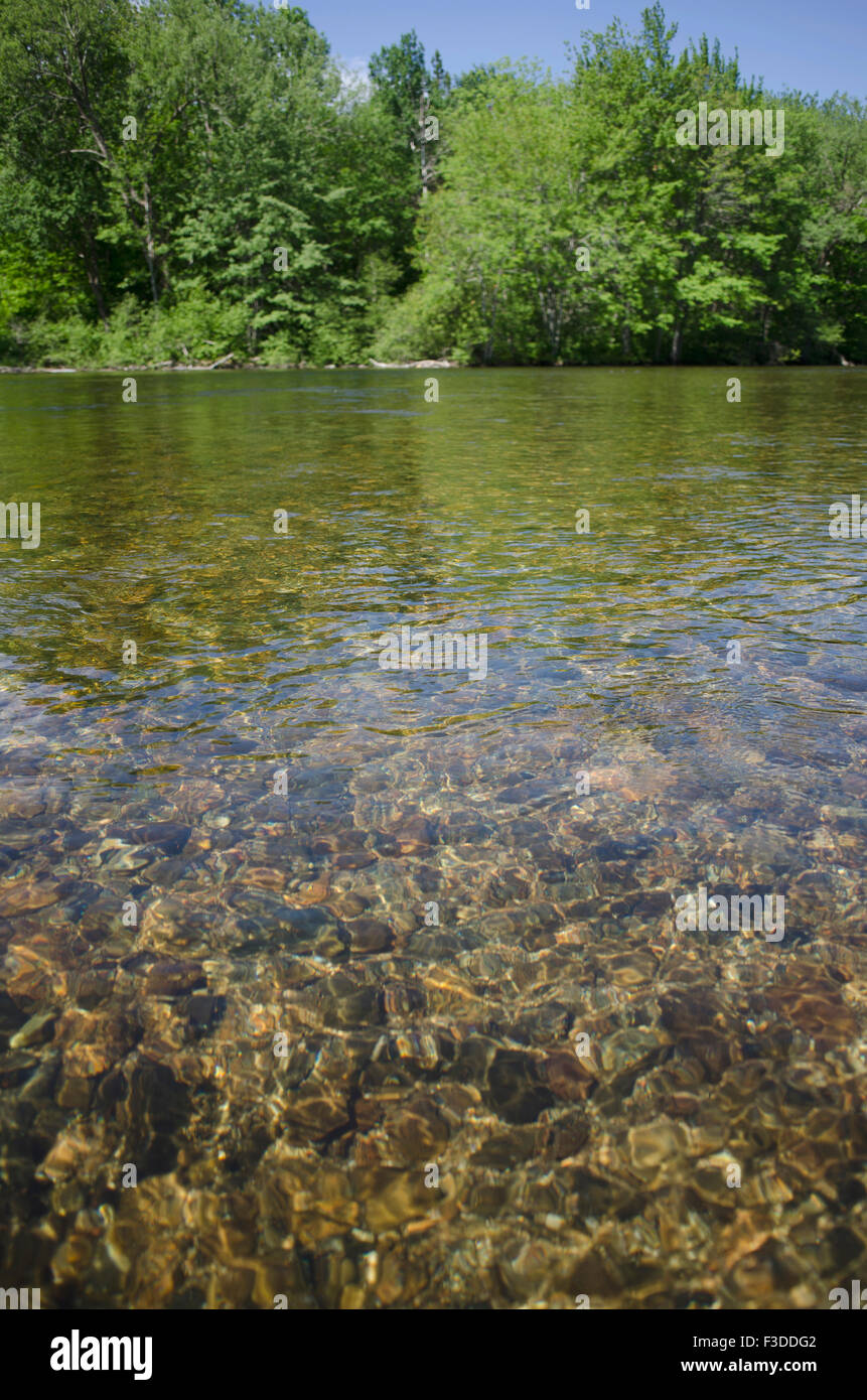 View of river and riverbank Stock Photo - Alamy
