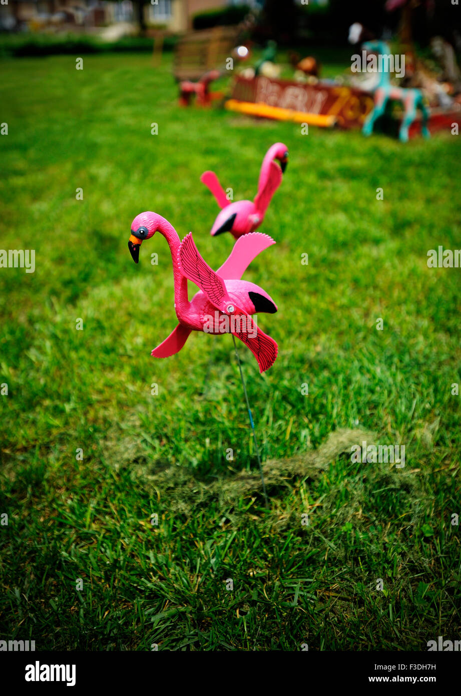 Pink plastic flamingos Stock Photo - Alamy