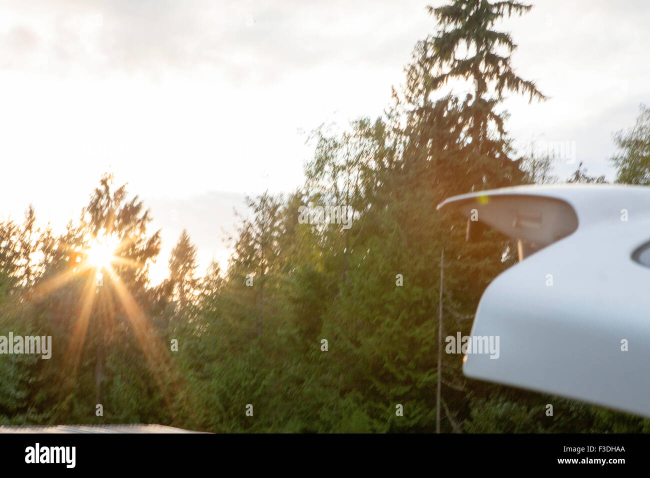 sun rising over trees with trunk of car Stock Photo - Alamy