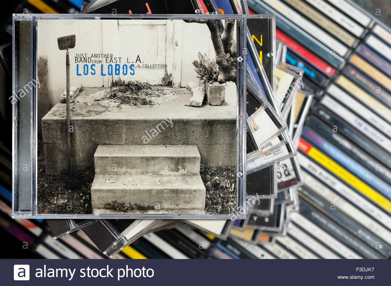 Los Lobos Band High Resolution Stock Photography and Images - Alamy