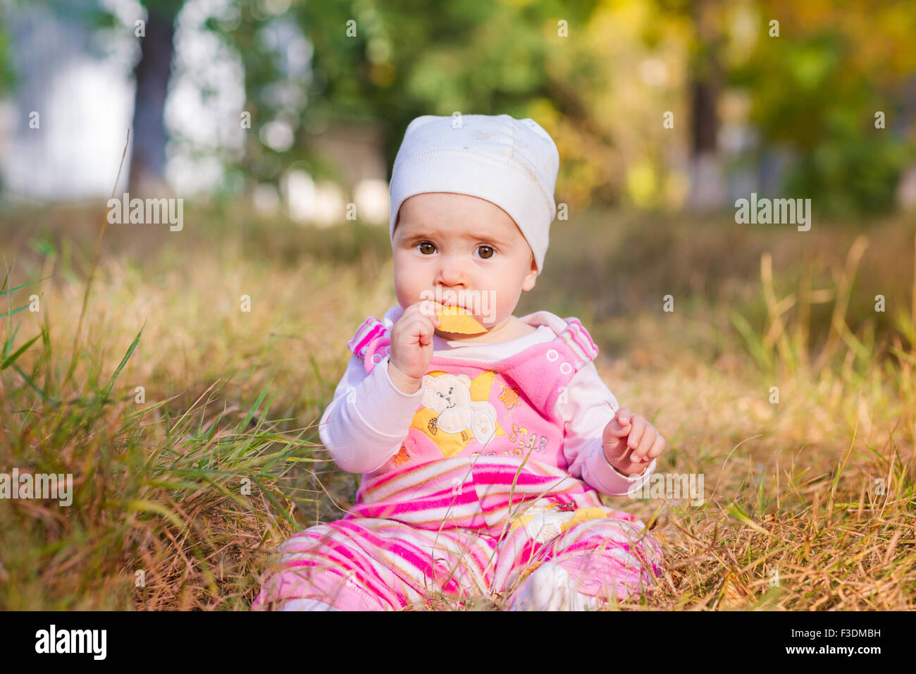 Cute baby in autumn leaves. First autumn Stock Photo - Alamy