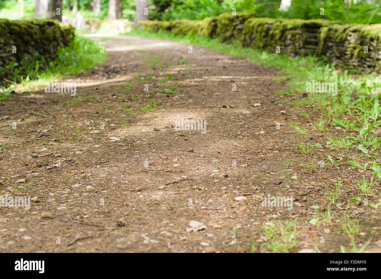 Countryside pathway between stone fences, blurred image with selective ...