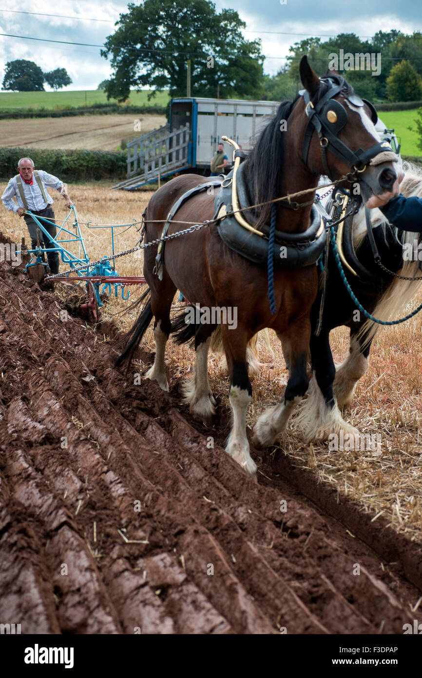 The Ploughing Match Stock Photo - Alamy