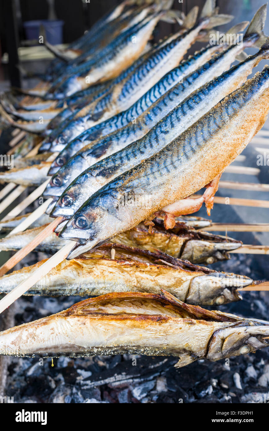 Stick fish hi-res stock photography and images - Alamy