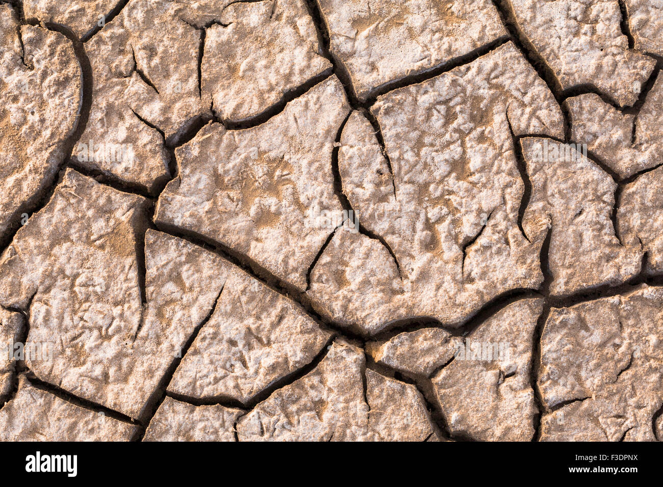 Mud drying out hi-res stock photography and images - Alamy