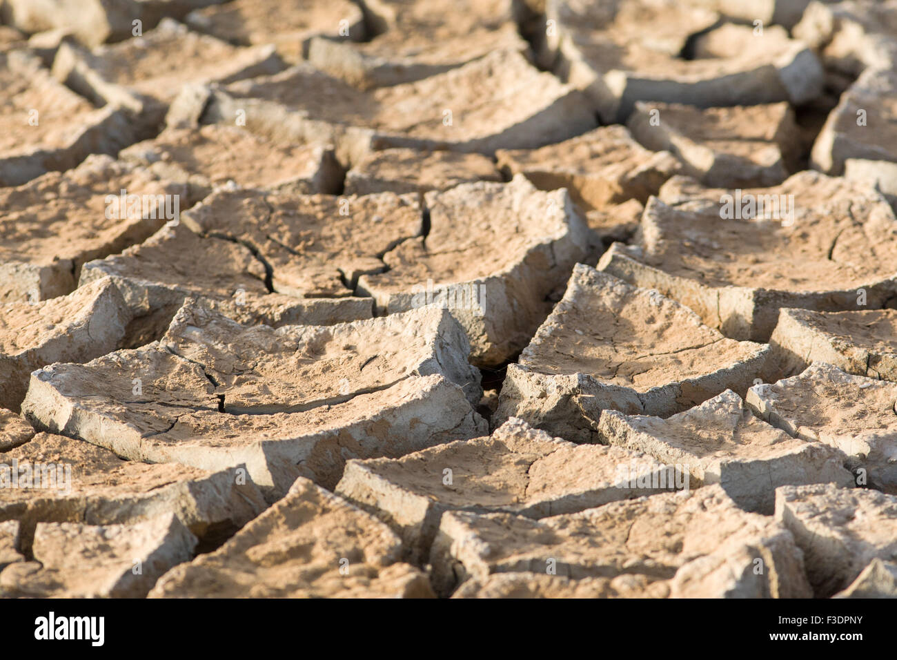 Cracked floodplain mud, dry season, Djoudj National Park, Senegal Stock ...