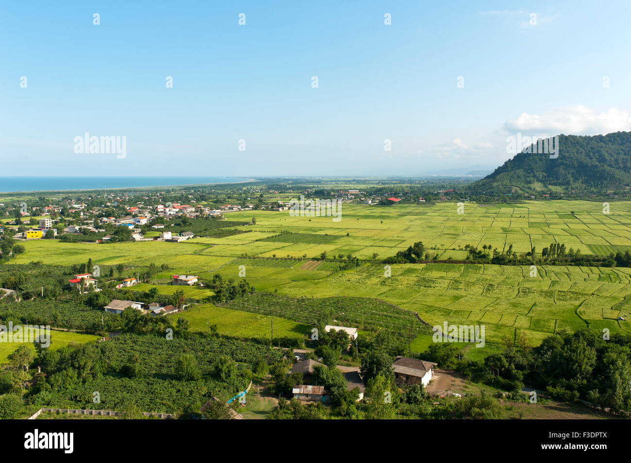 Rice paddies, Lisar at Astara, Gilan Province, Iran Stock Photo - Alamy