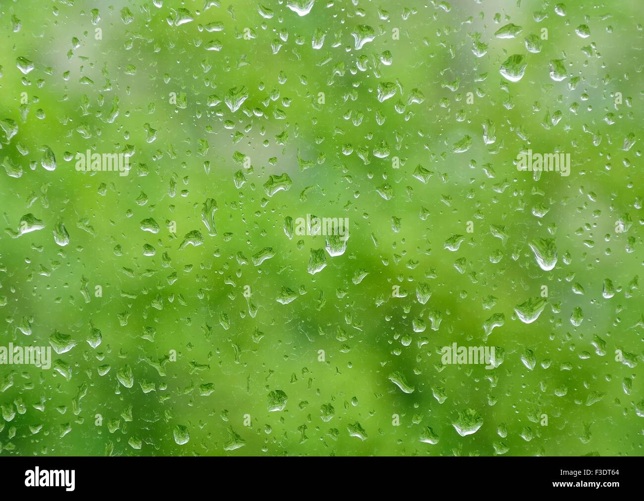 raindrops on window Stock Photo - Alamy