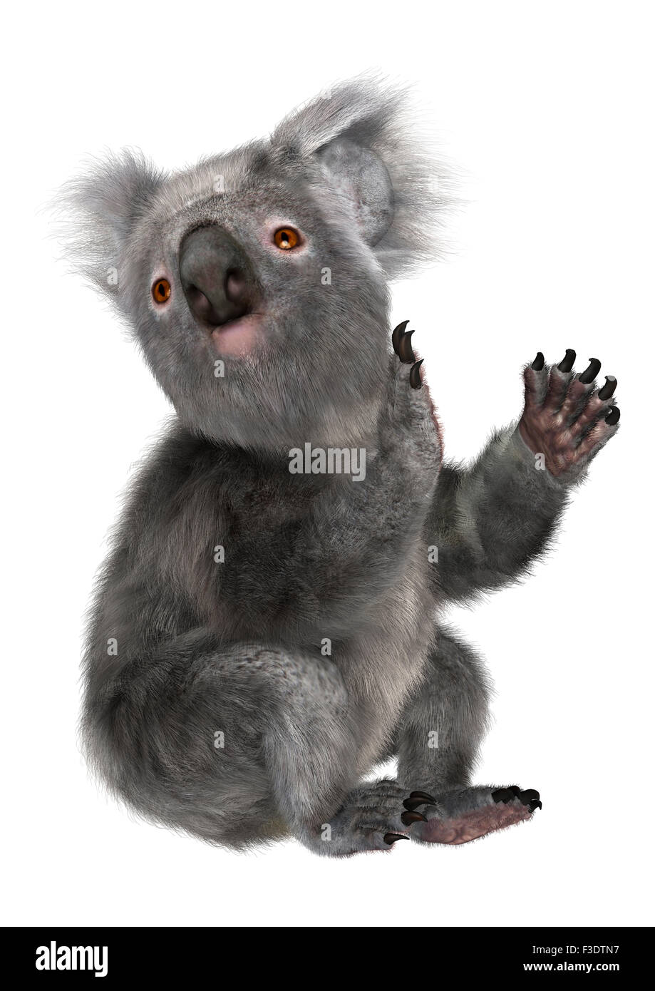 3D digital render of a cute koala isolated on white background Stock ...