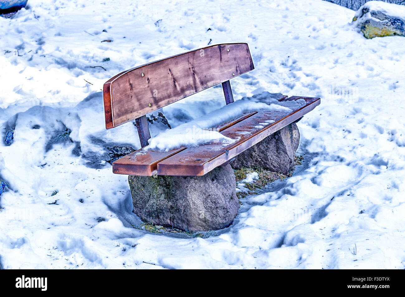 Wood and rock bench in a forest of green pines and firs on Dolomites ...