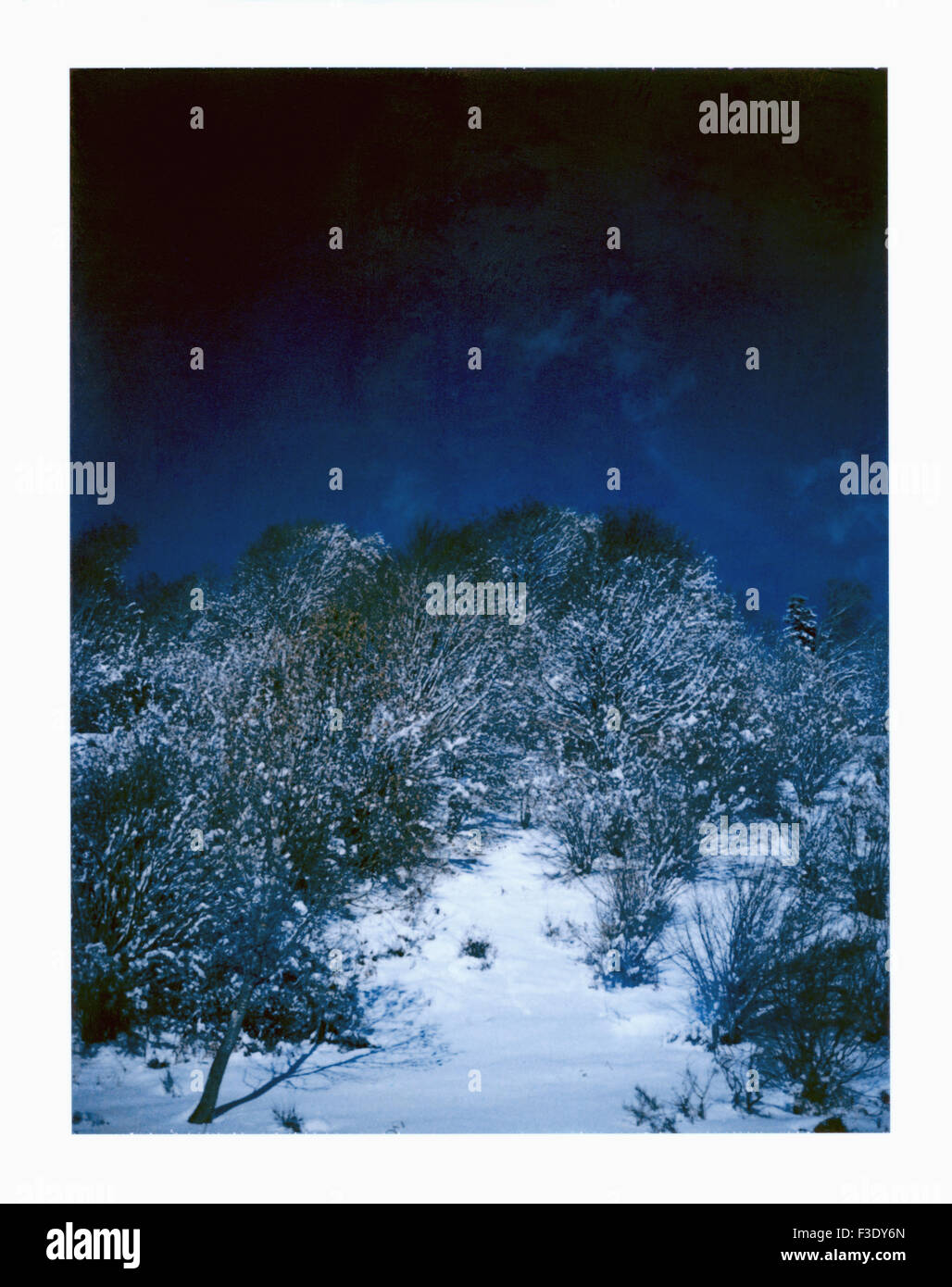 Beautiful snow scenery in Cut Out Stock Images & Pictures - Alamy