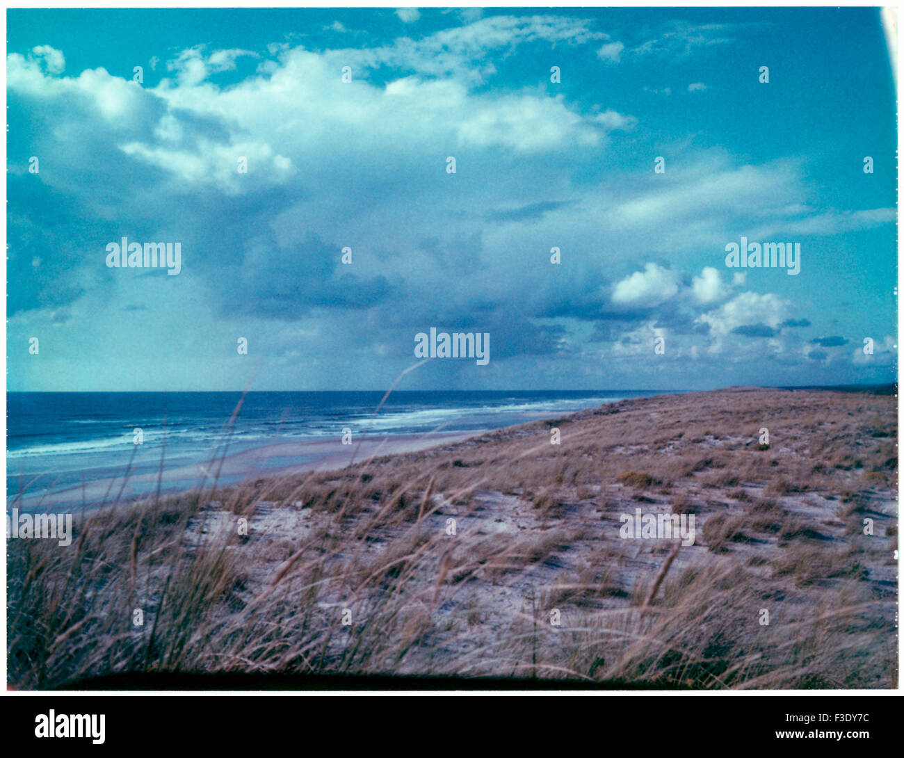 Blues breakers hi-res stock photography and images - Alamy