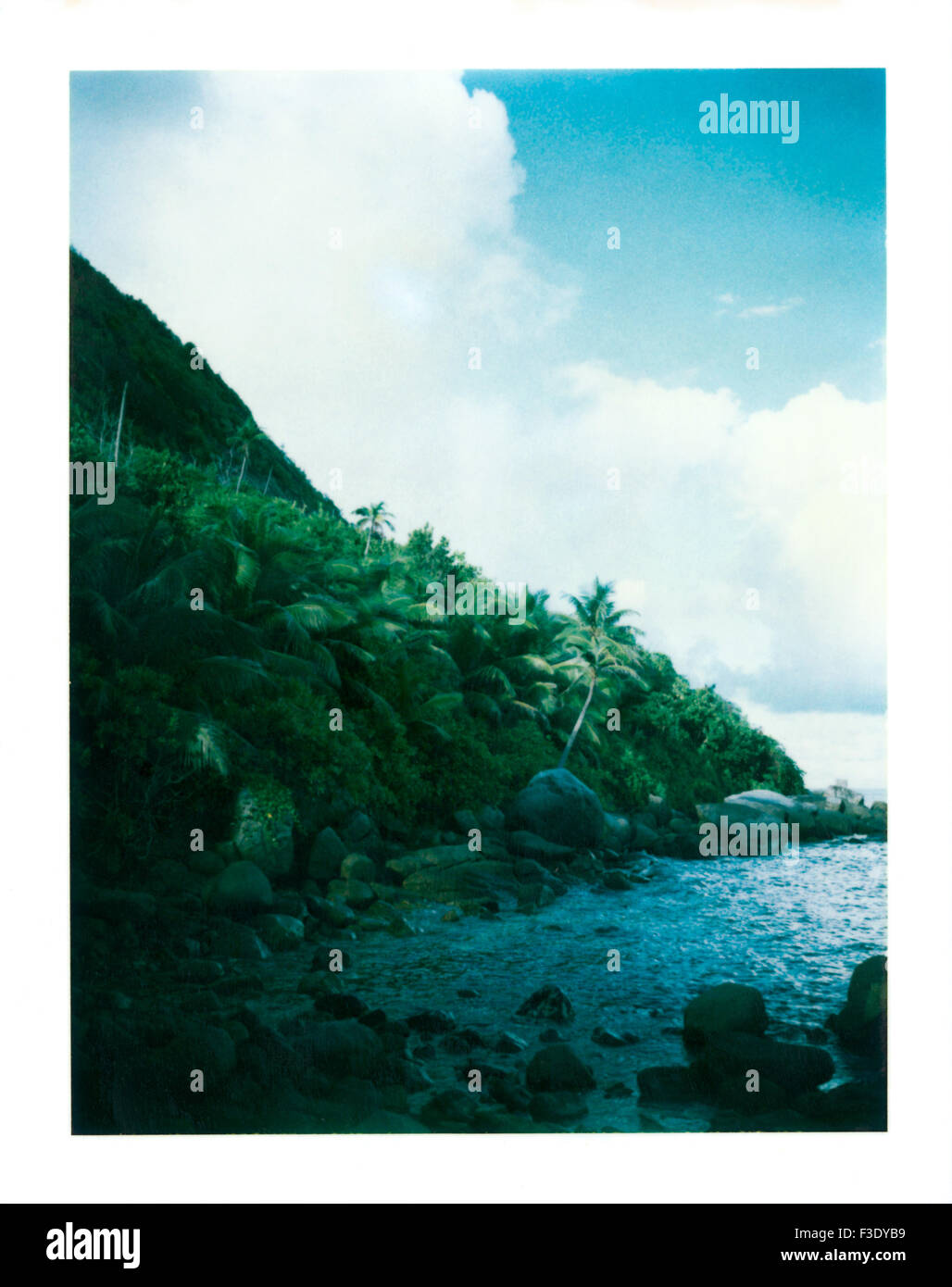 Tropical rivers Cut Out Stock Images & Pictures - Alamy