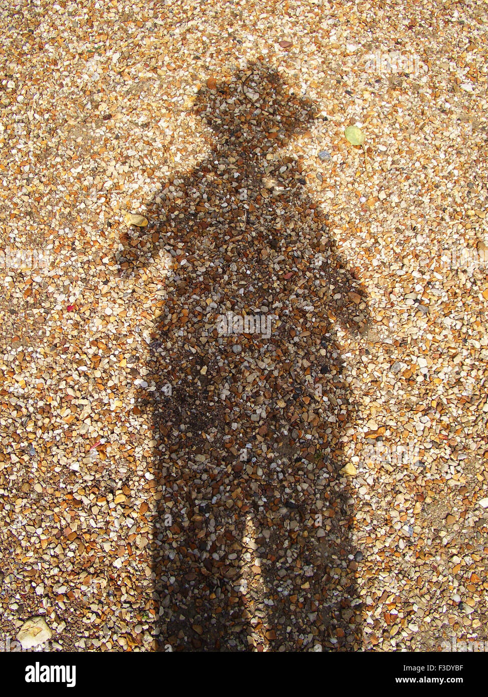 Focus on shadow photos hi-res stock photography and images - Alamy