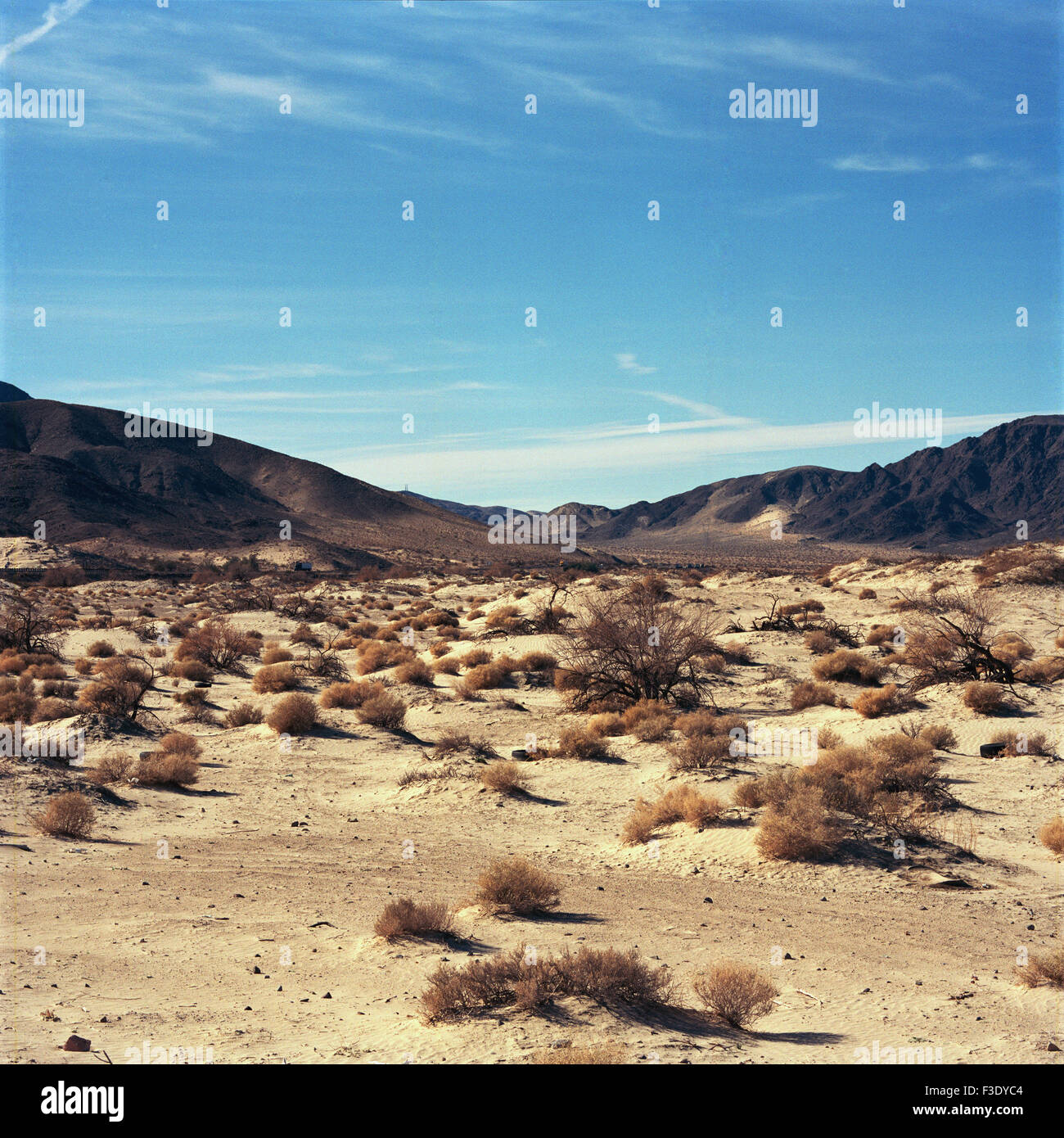 Beautiful desert scenes shot in hi-res stock photography and images - Alamy