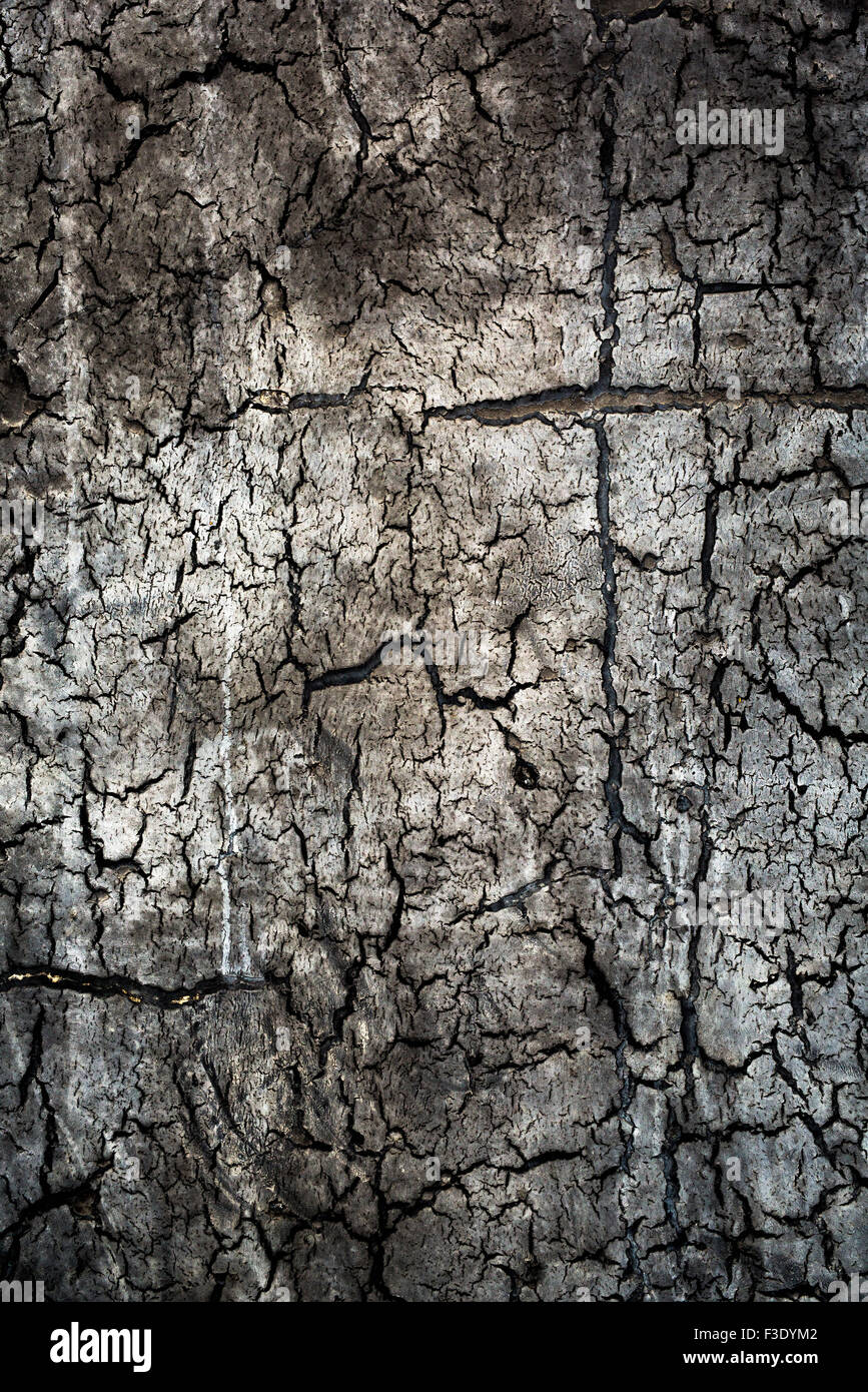 Cracked scorched wall hi-res stock photography and images - Alamy