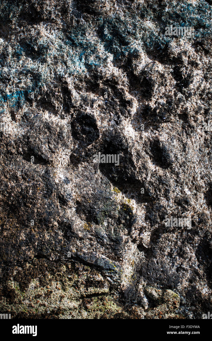 Lichen on stone walls hi-res stock photography and images - Alamy