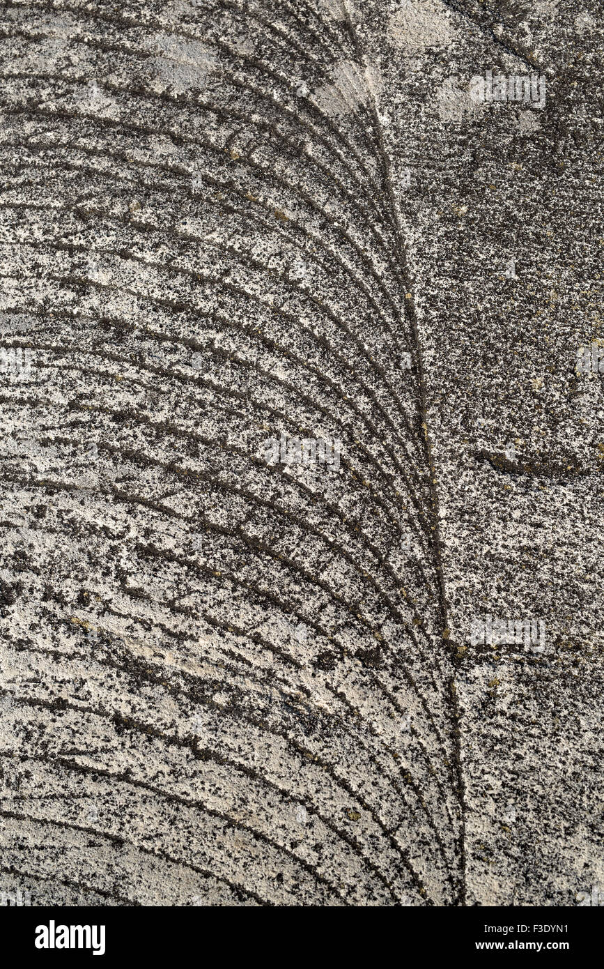 Graceful lines of bas-relief sculpture, close-up Stock Photo - Alamy