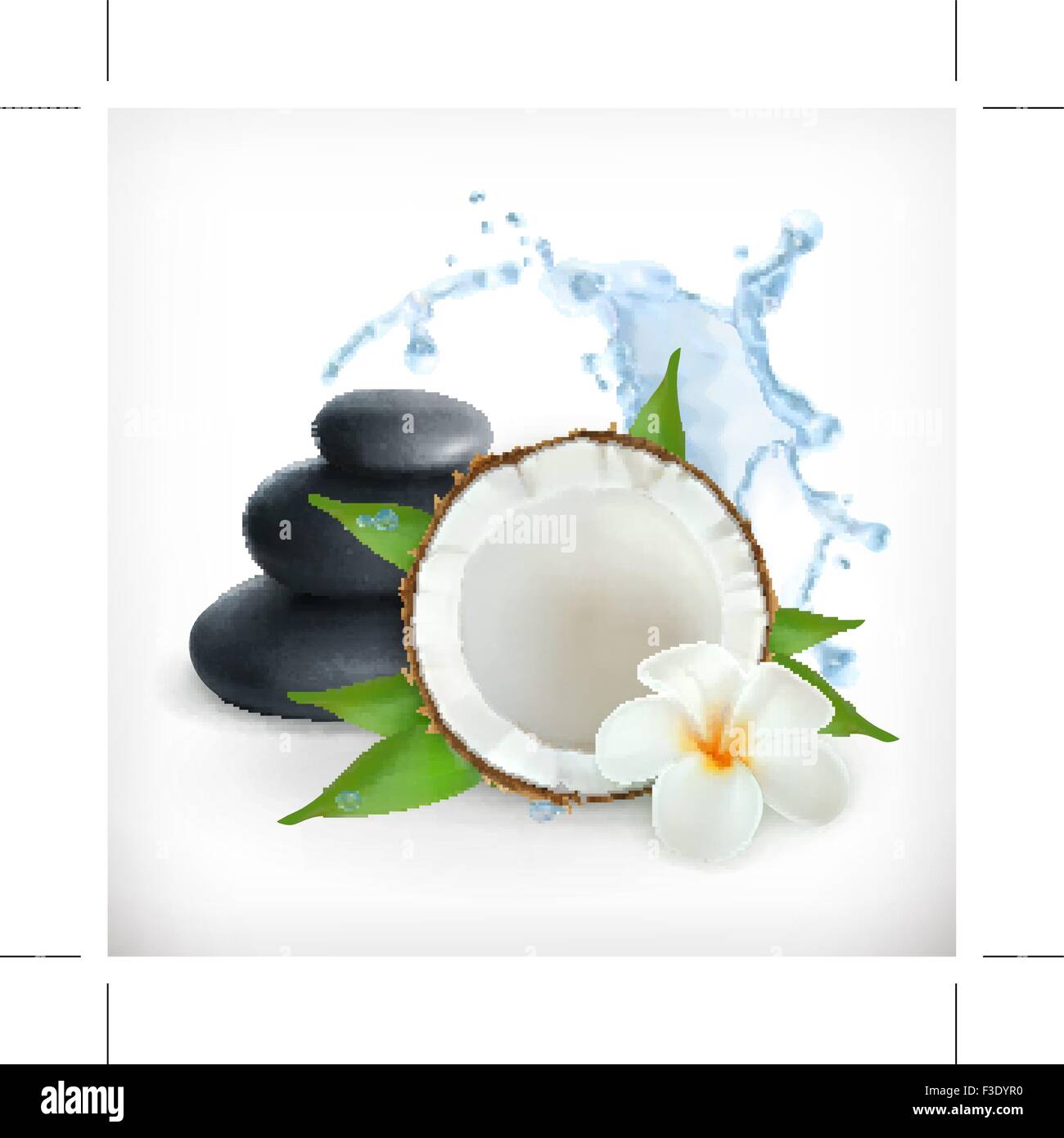 Fresh natural coconut water Stock Vector Images - Alamy