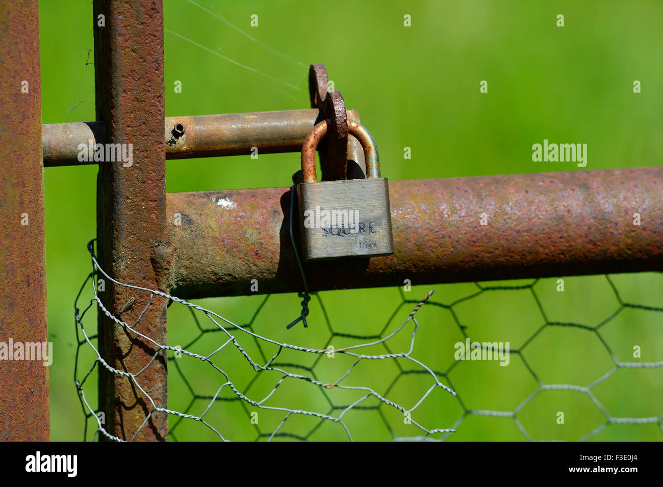 Padlock on a gate hi-res stock photography and images - Alamy