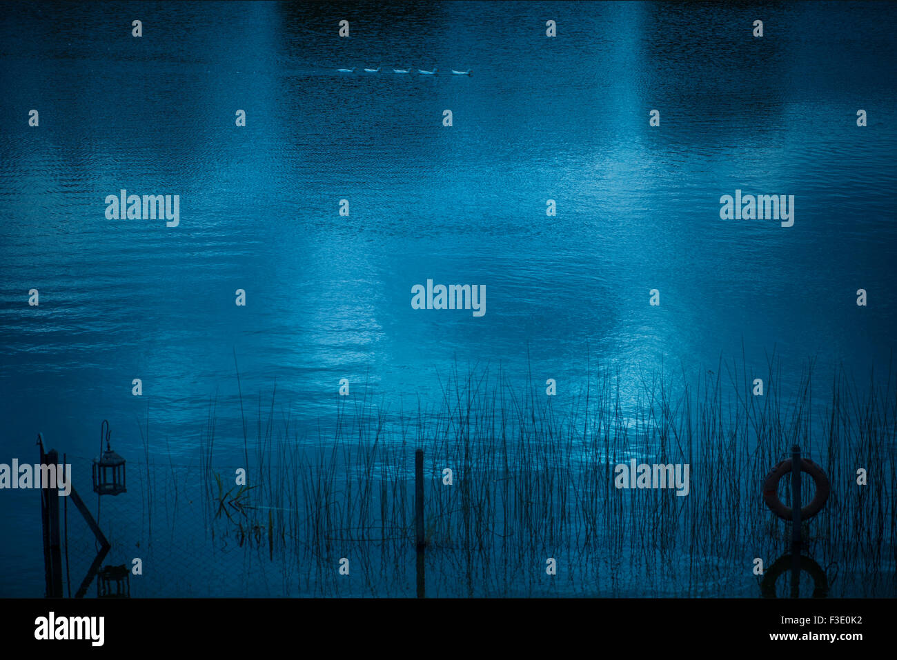 Tranquil lake scene Stock Photo - Alamy