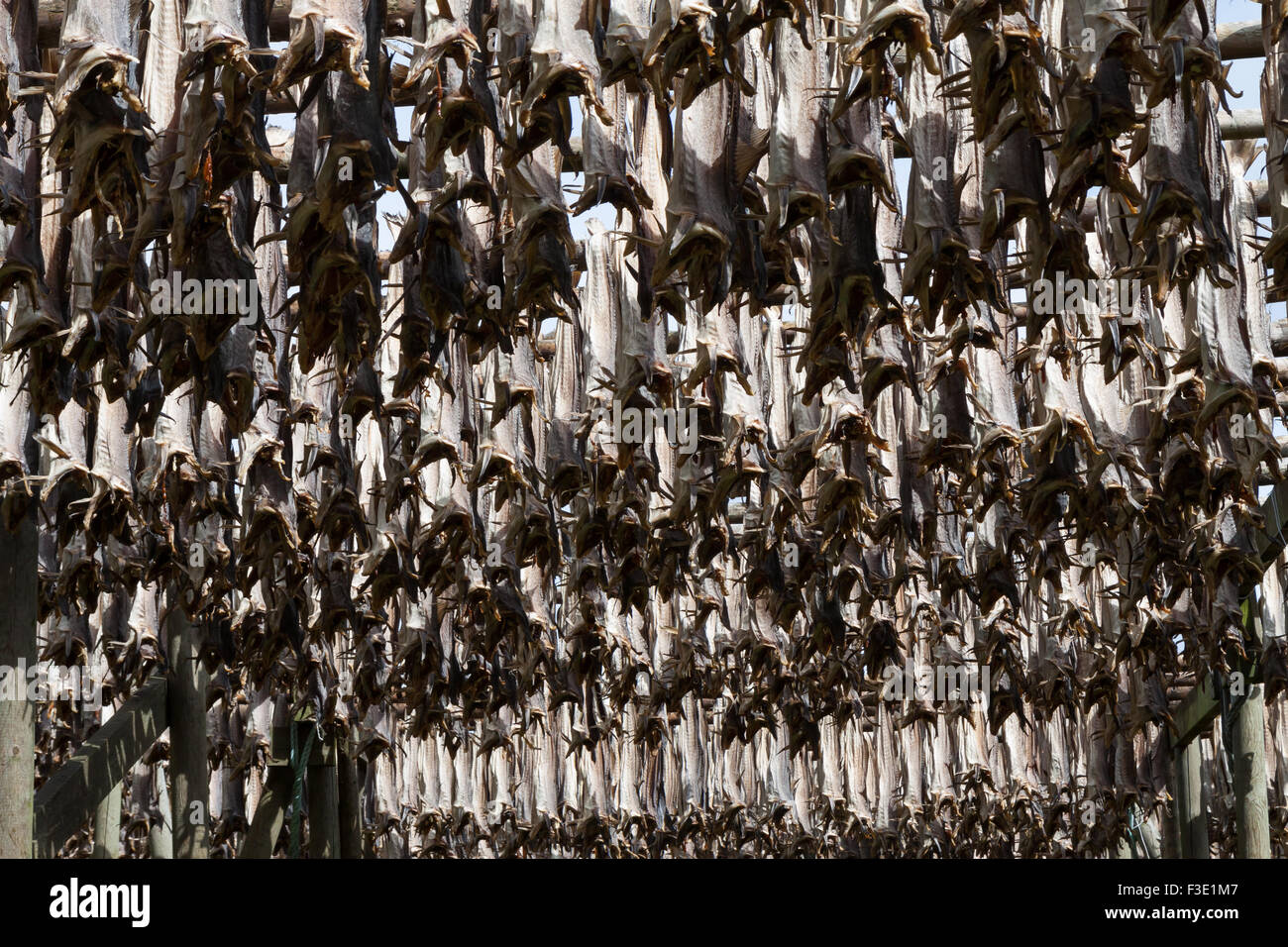 Fish drying flake hi-res stock photography and images - Alamy
