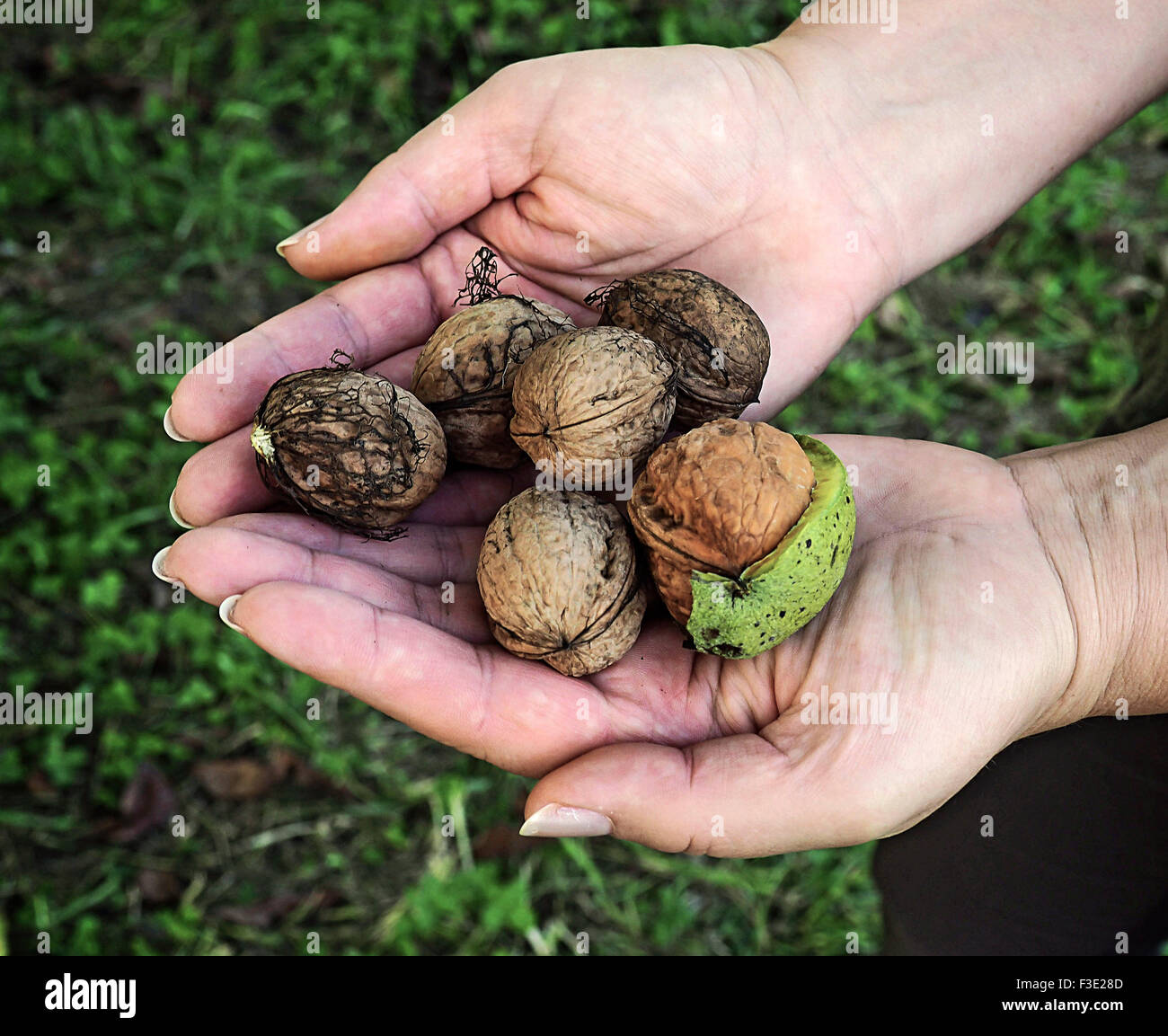 Human f hi-res stock photography and images - Alamy