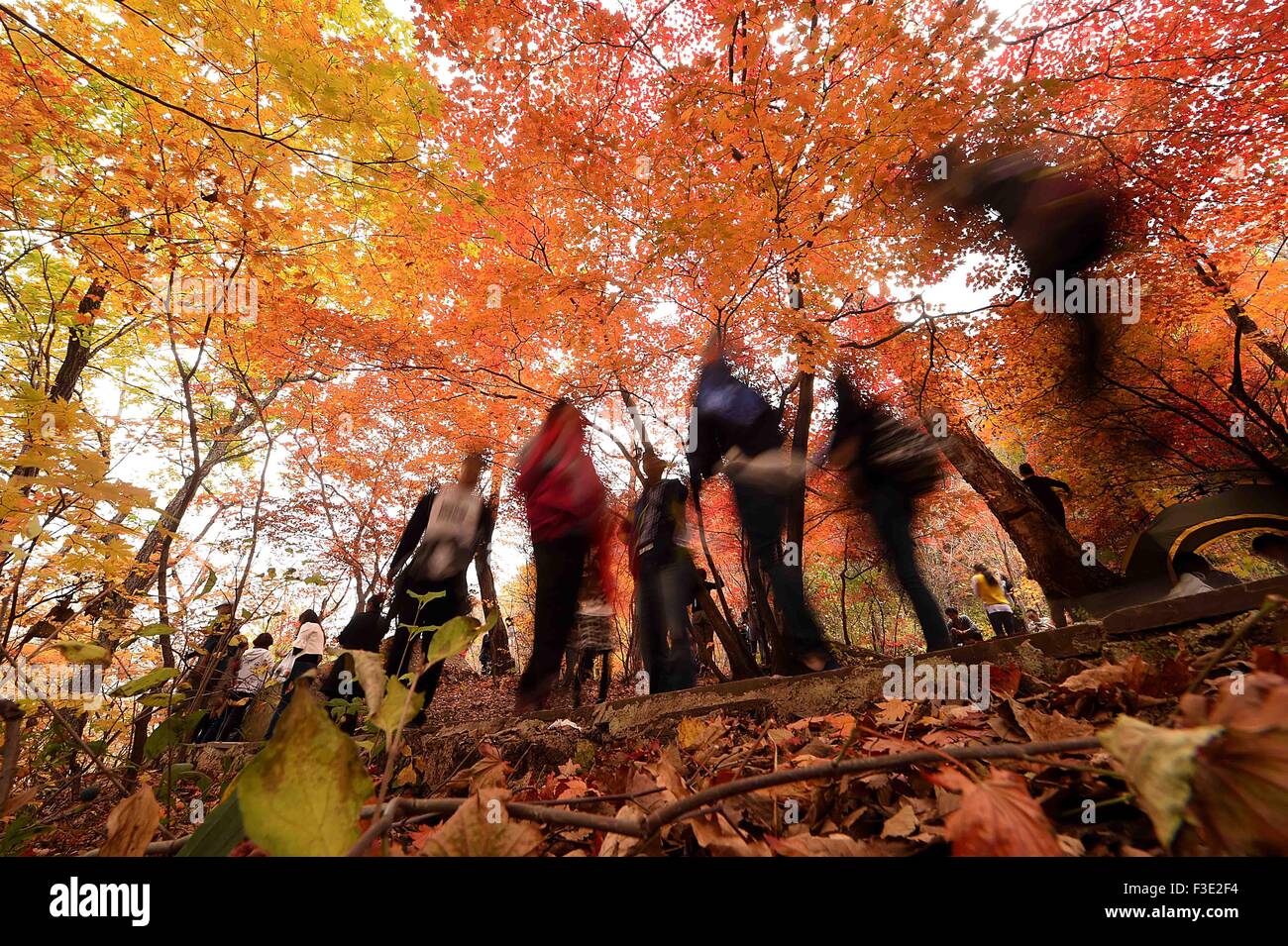 Benxi, China's Liaoning Province. 6th Oct, 2015. Visitors go ...