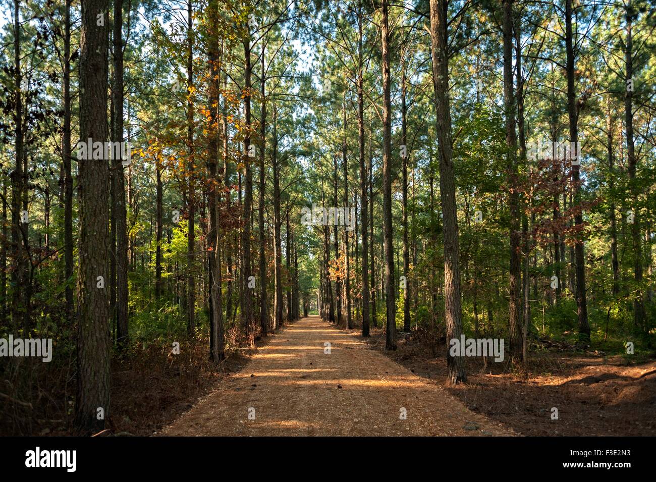 Early fall scenes in Northwest Alabama depicting mystery Stock Photo ...