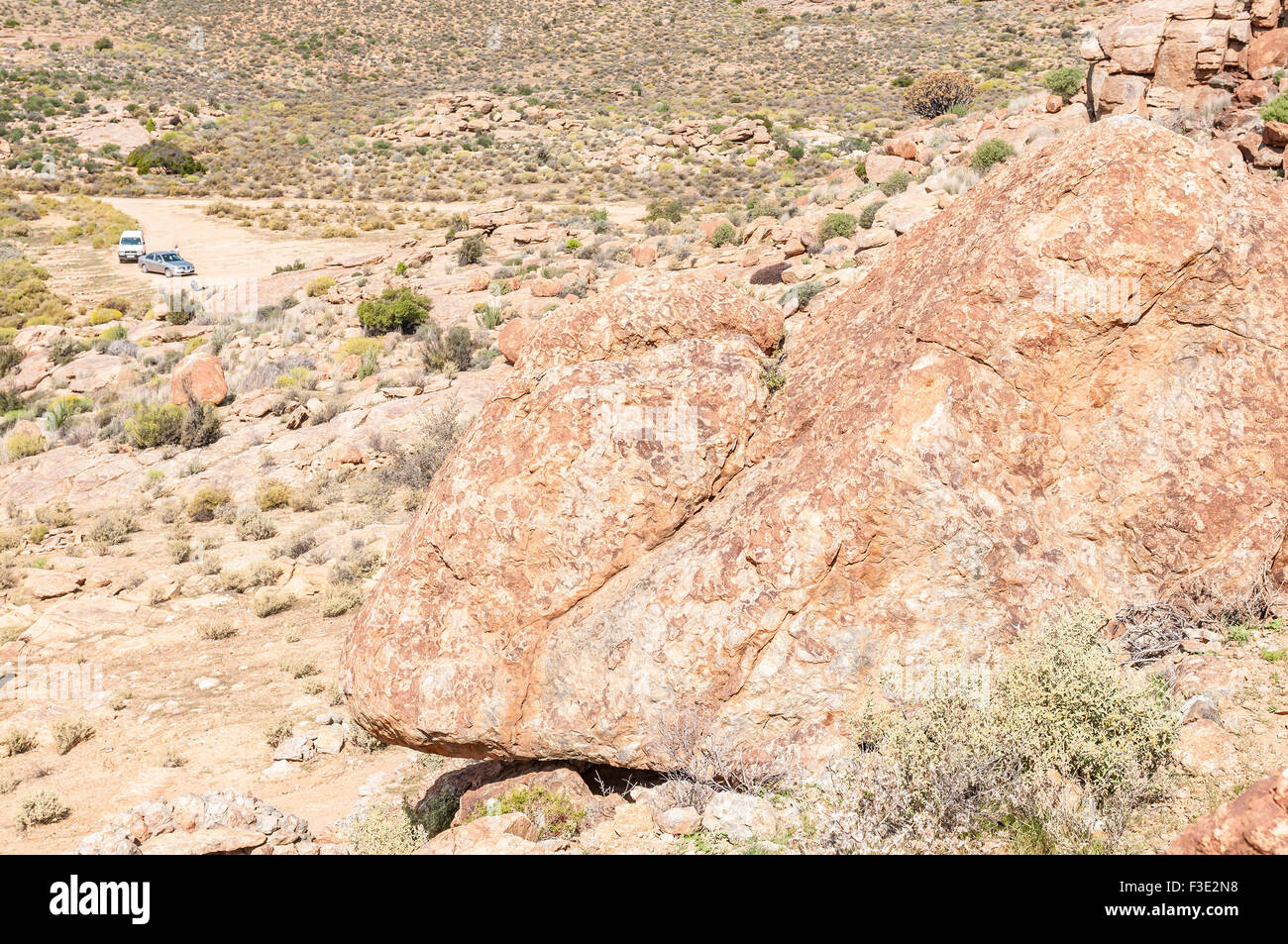 Orbicular granite hi-res stock photography and images - Alamy