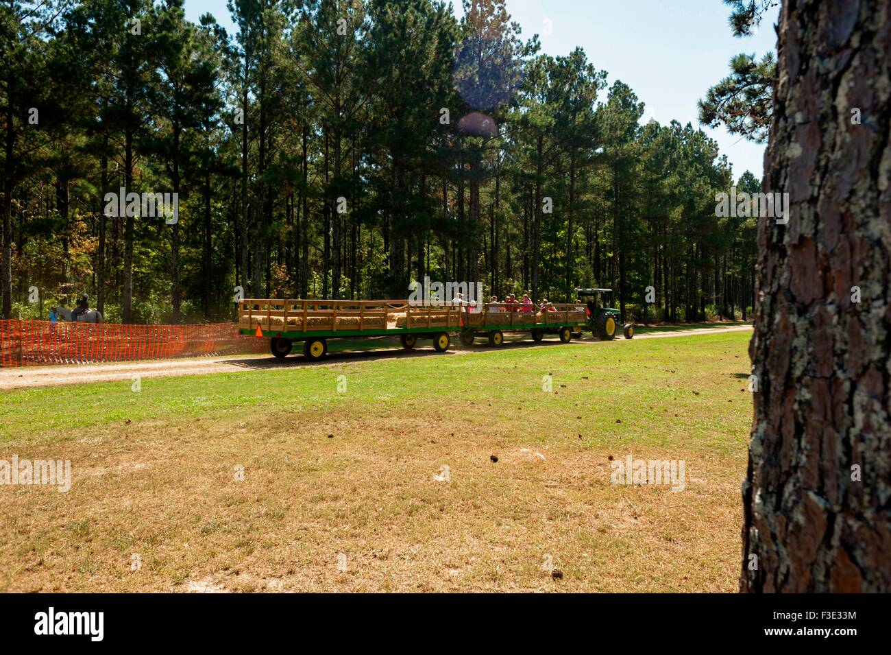 Hayride hi-res stock photography and images - Alamy