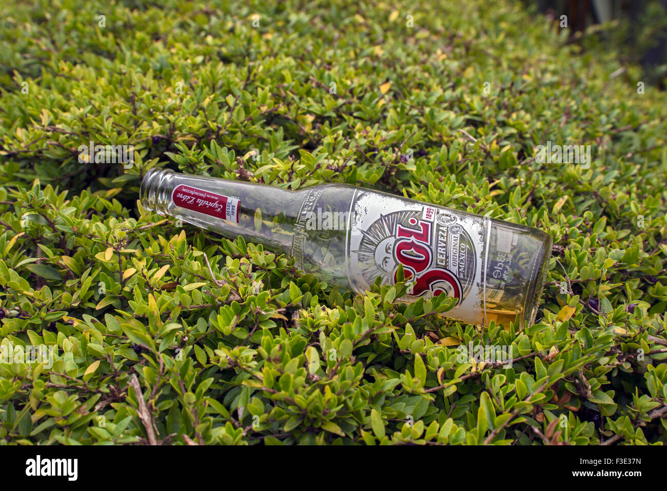 Empty Bottle Stock Photos & Empty Bottle Stock Images - Alamy