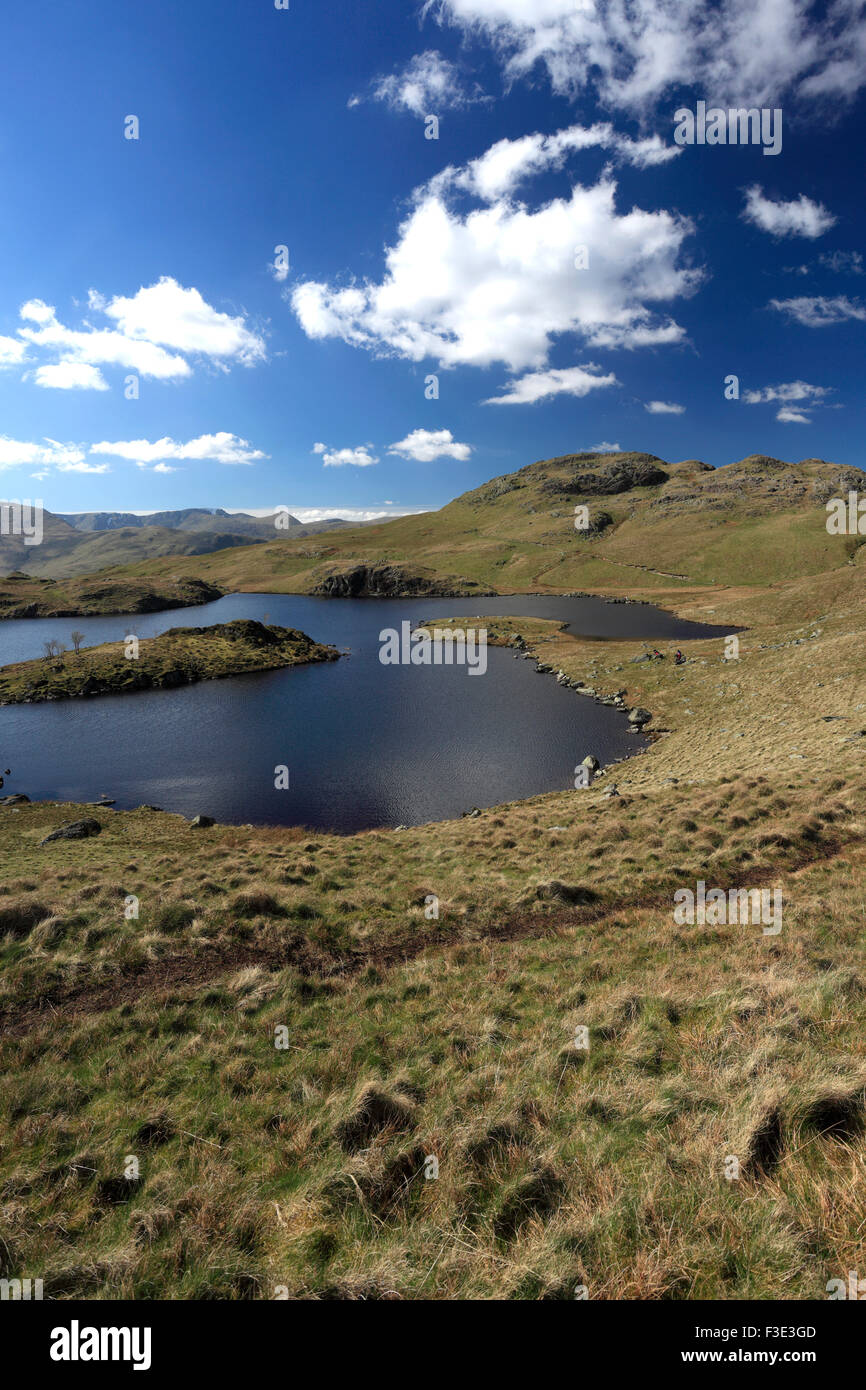 View over Angle Tarn, Angletarn Pikes, Lake District National Park ...