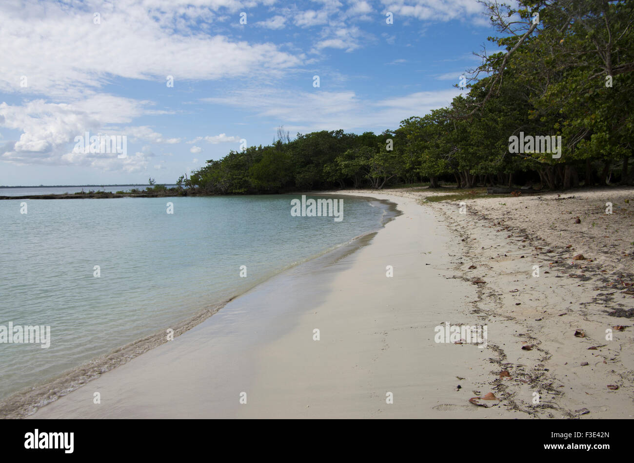 Paradise idyllic empty beach with a calm sea and clean sand and trees ...
