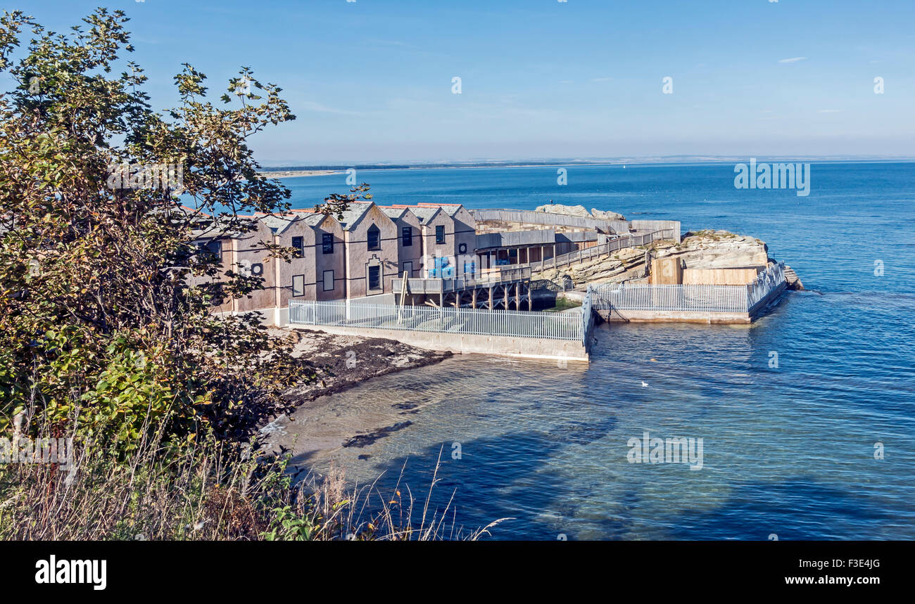 The Sea Front at St. Andrews Fife Scotland with The back of St. Andrews ...