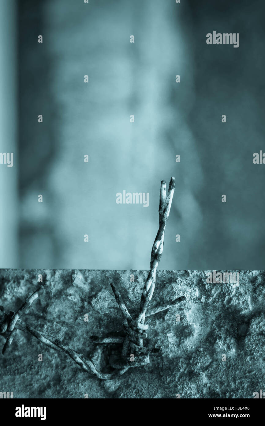 Barbed wire with a frightening and potentially dangerous Stock Photo ...