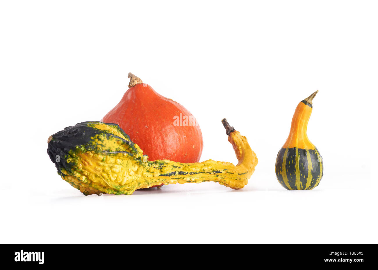 Season gourd Cut Out Stock Images & Pictures - Alamy