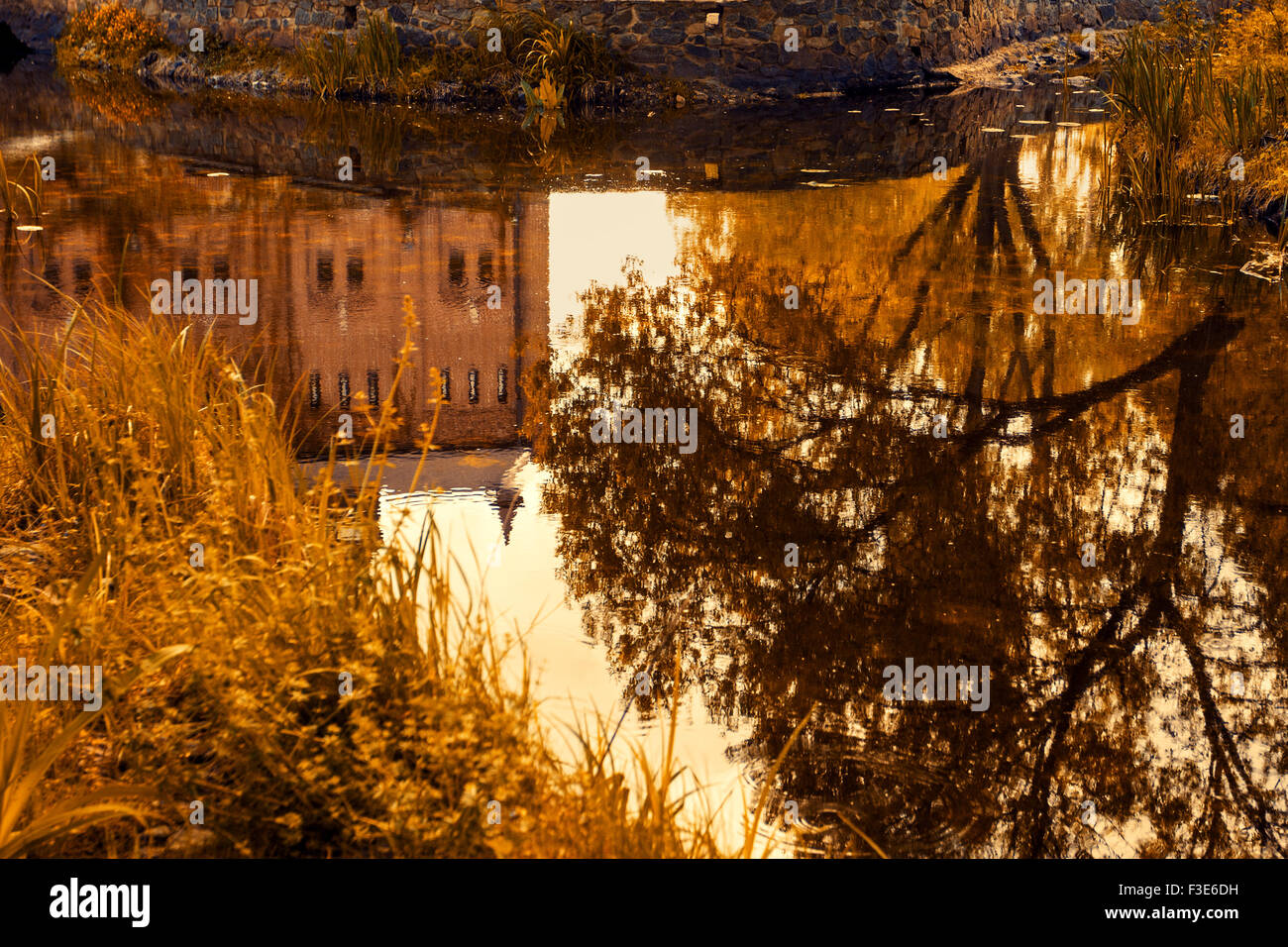 Castle and tree reflected in the water Stock Photo - Alamy