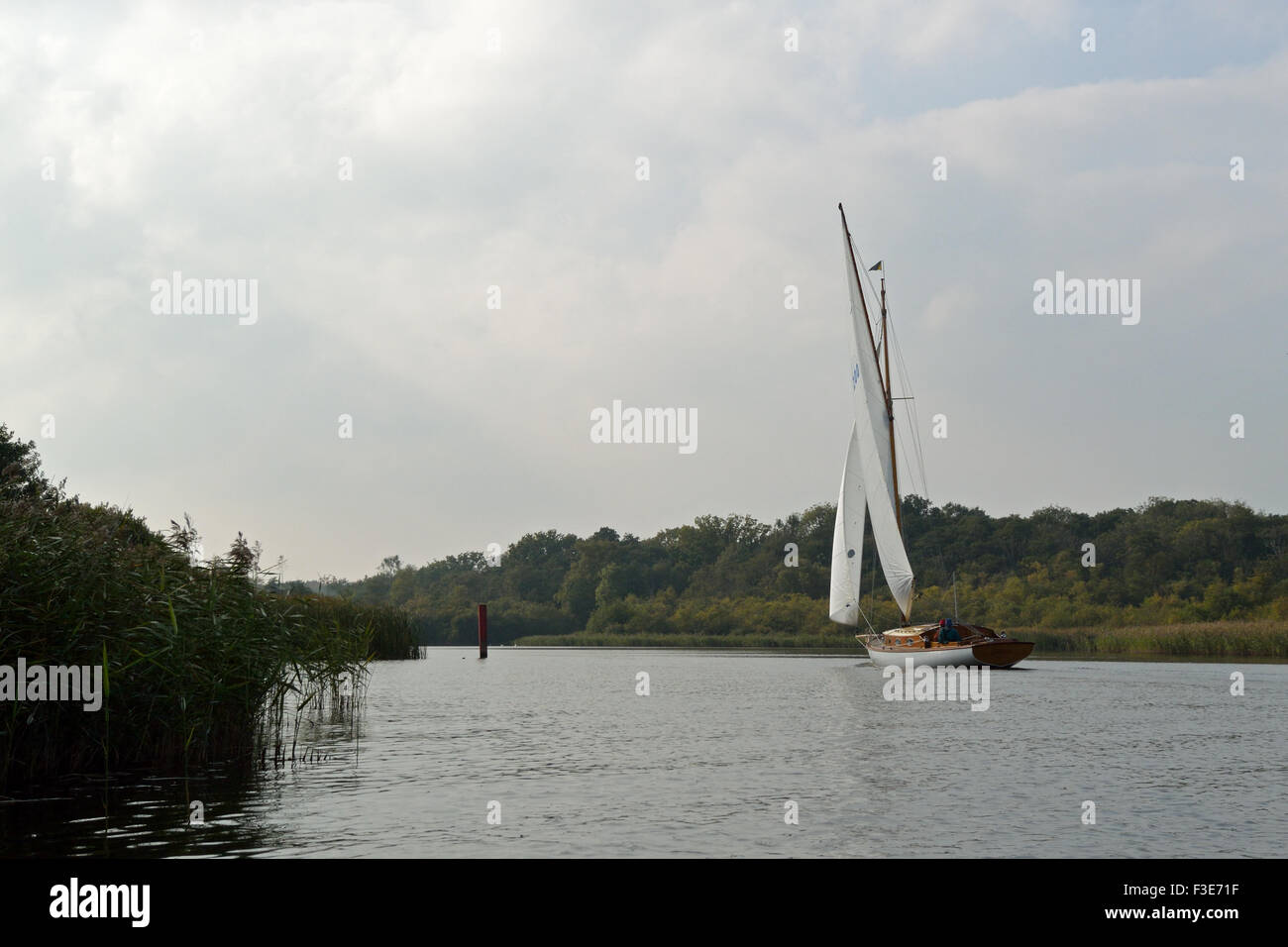 Traditional gaff-rigged Broads sailing yacht on Barton Broad, Norfolk ...