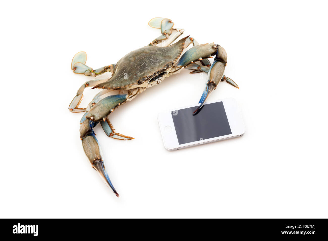 Mobile holding Cut Out Stock Images & Pictures - Alamy