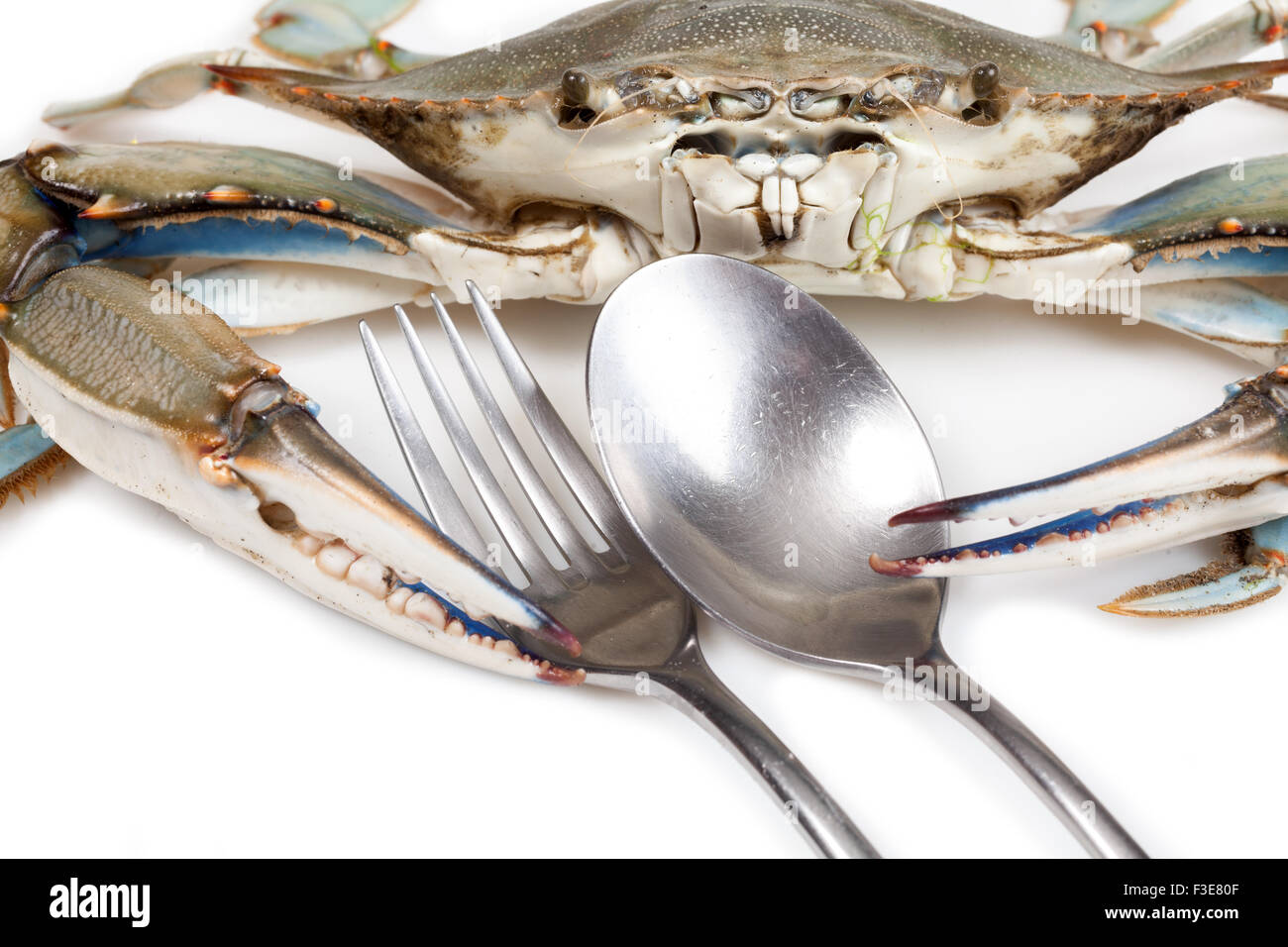 Blue crab on white background with fork and spoon Stock Photo - Alamy