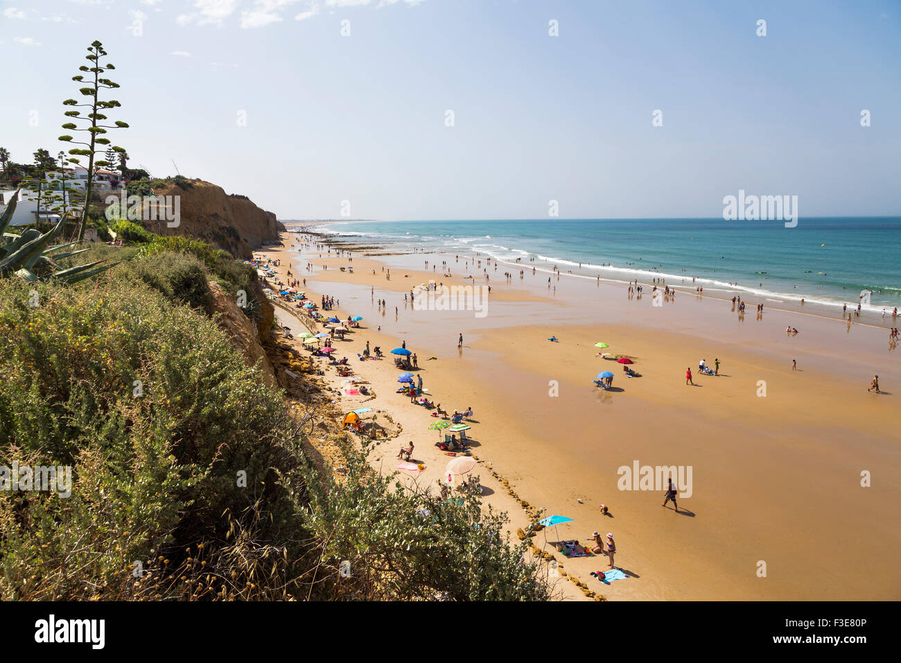 Fuente del Gallo beach Conil de la Frontera Cadiz Andalusia Spain Stock ...