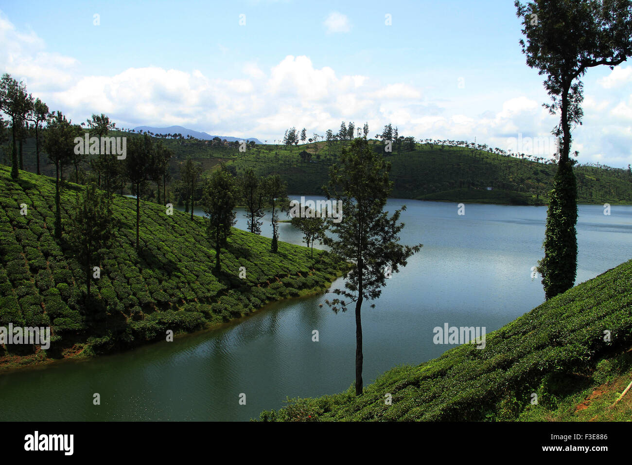 Dam reservoir and tea plantations Stock Photo - Alamy