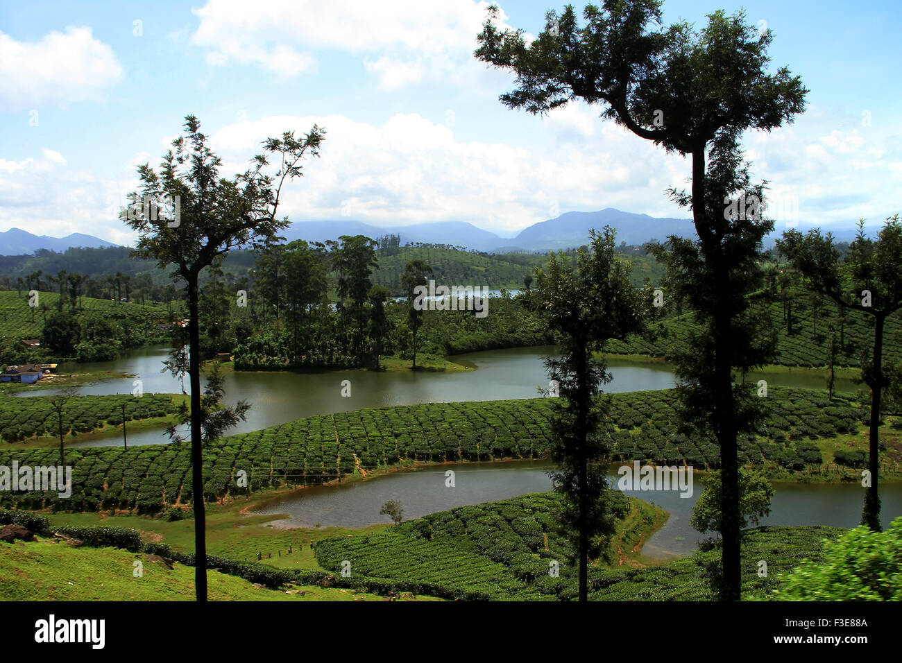 Dam reservoir and tea plantations Stock Photo - Alamy