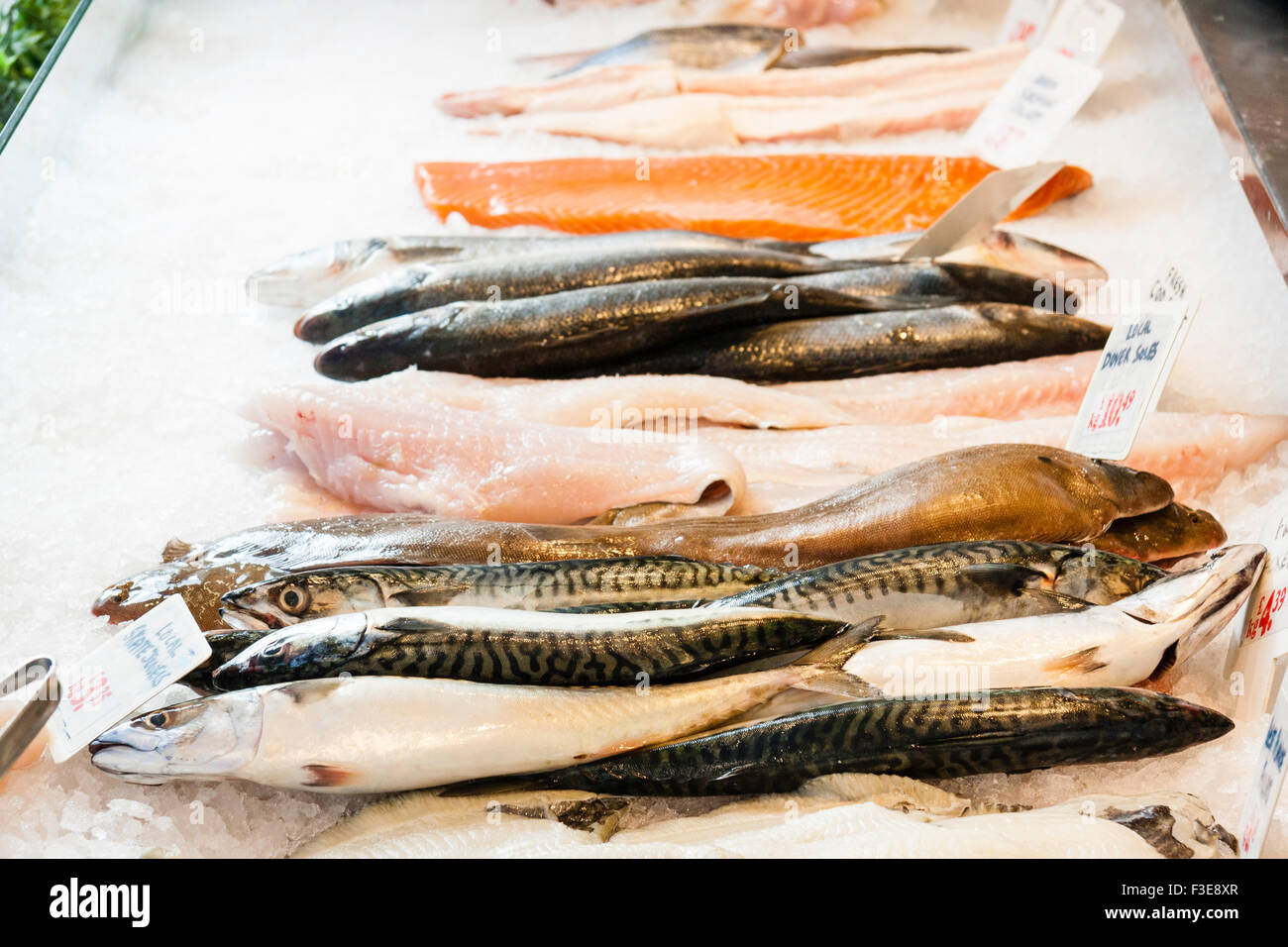 Typical English wet fish, fish monger shop. Window display of various ...