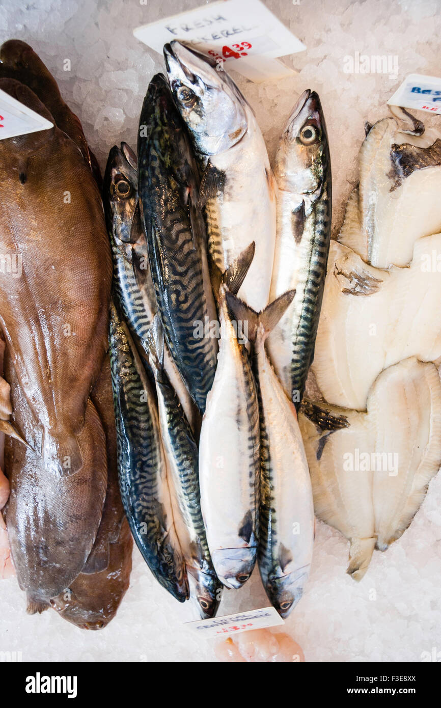Fish shop display hi-res stock photography and images - Alamy